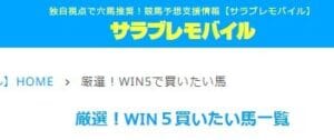 WIN5のランダム予想は当たった人はいる？SNSなどを徹底調査 | 競馬ナビ